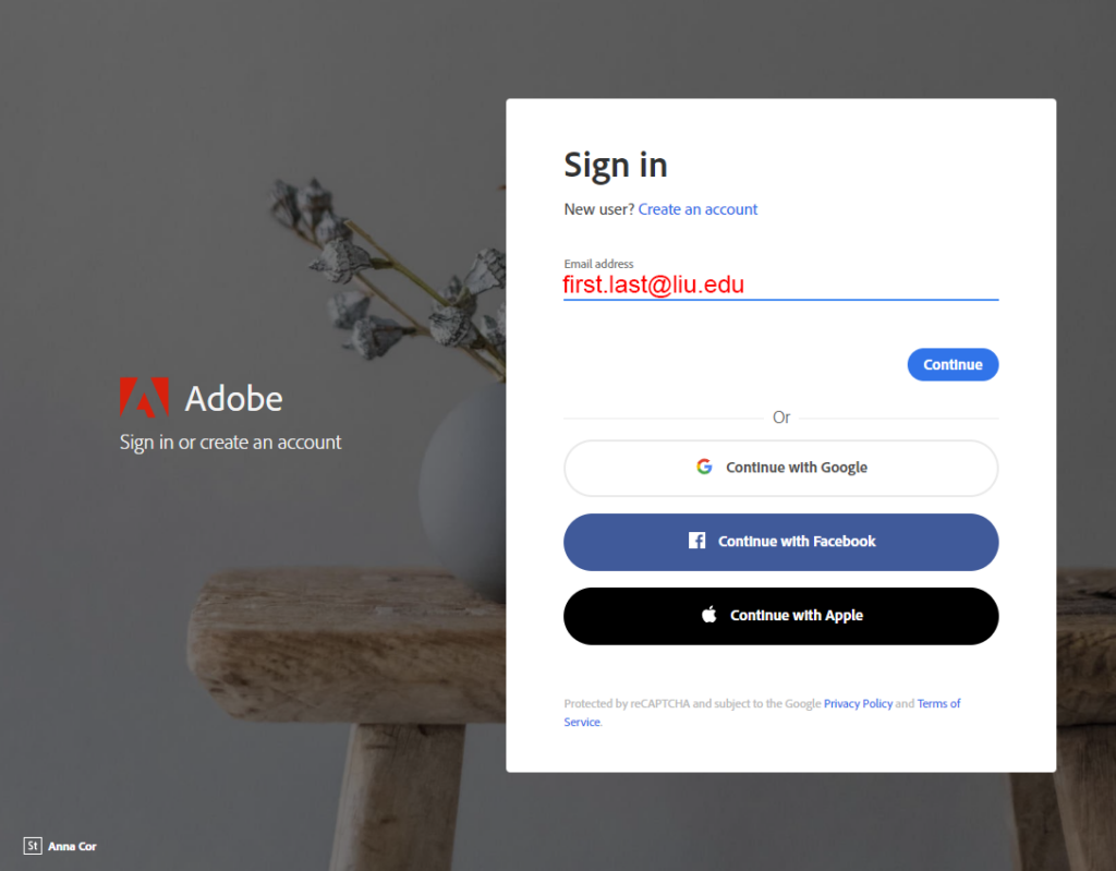 Adobe – LIU Information Technology