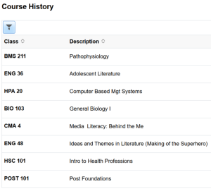 MyLIU – LIU Information Technology