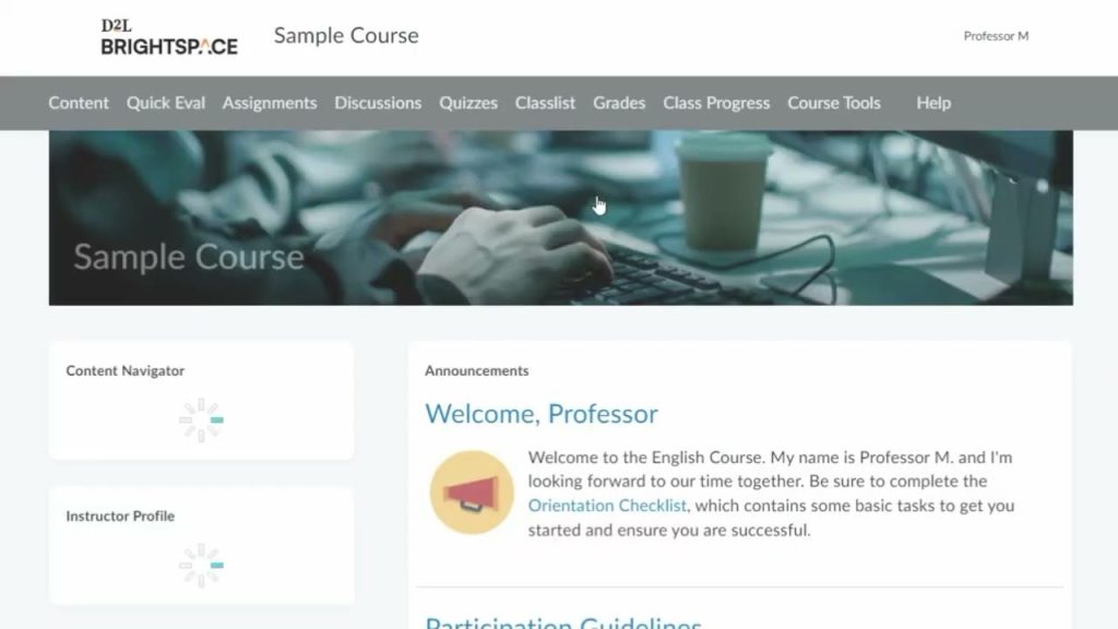 Brightspace – LIU Information Technology